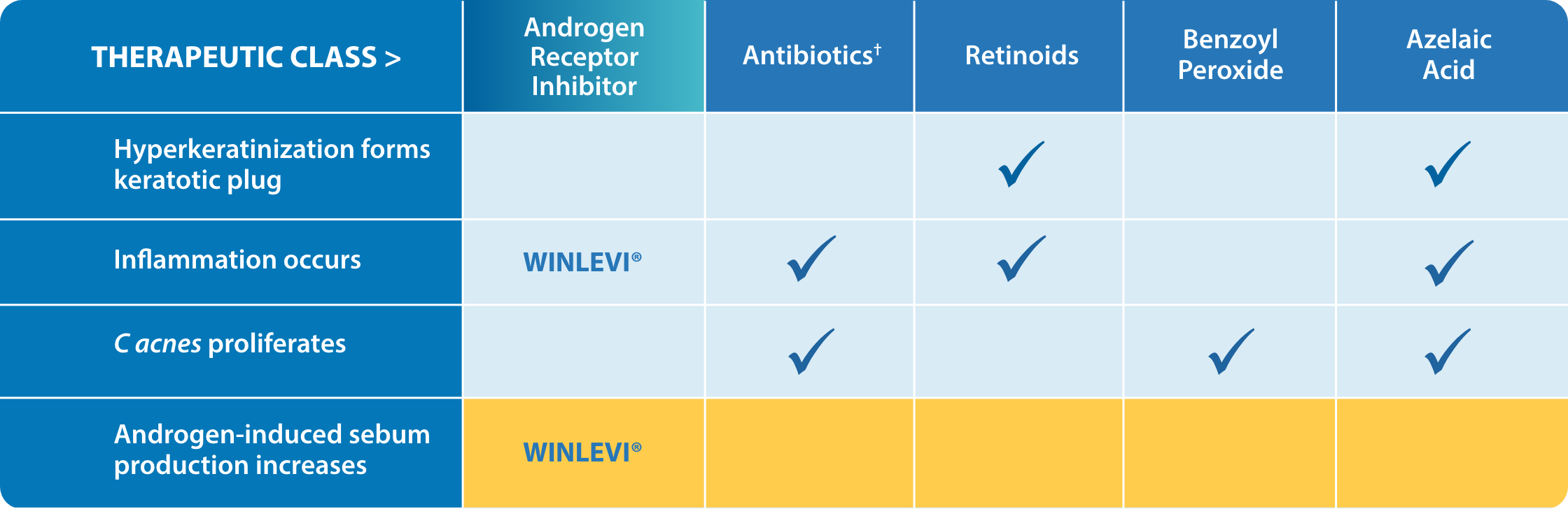 Sebum Treatment | WINLEVI
