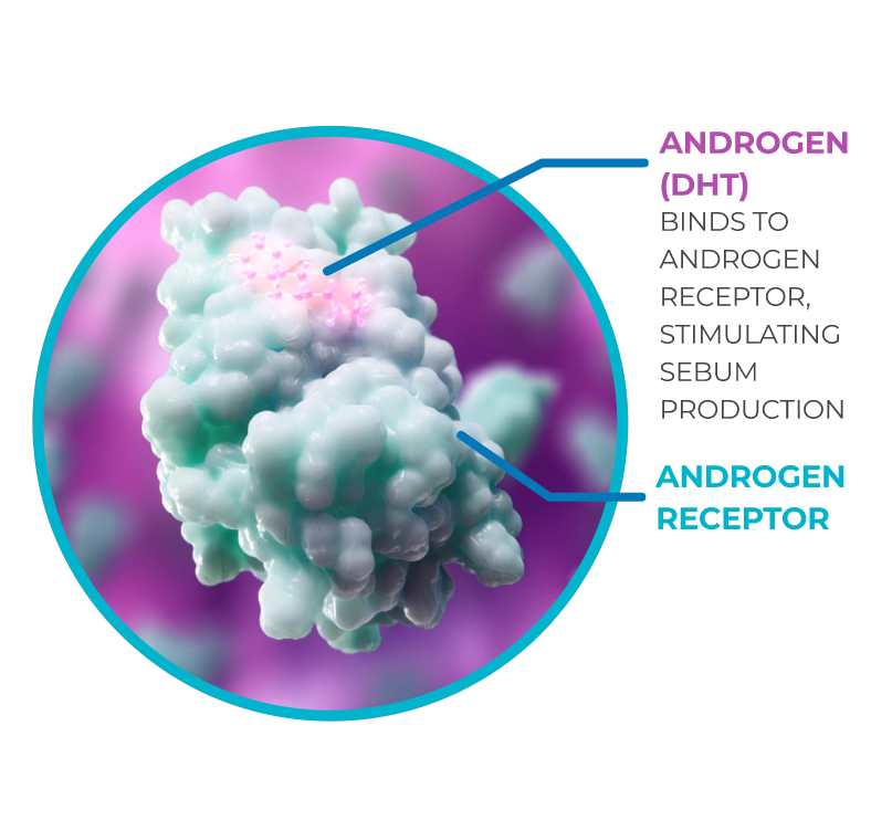 How Does WINLEVI® Work | WINLEVI®