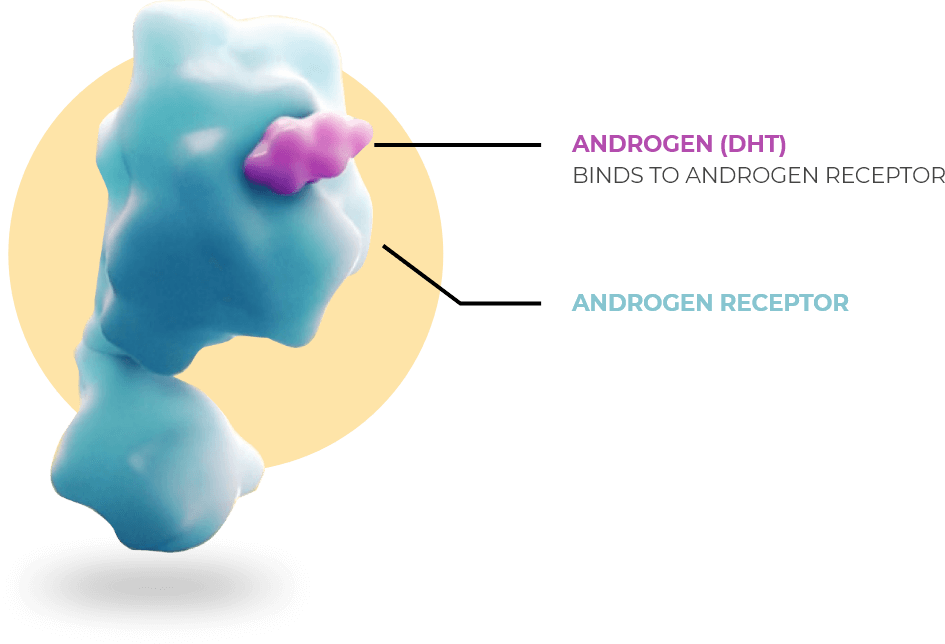 How Does WINLEVI® Work | WINLEVI®