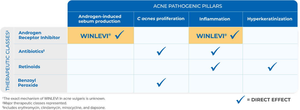 How It Works | WINLEVI® (clascoterone) cream 1% for HCPs