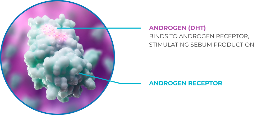How Does WINLEVI® Work | WINLEVI®